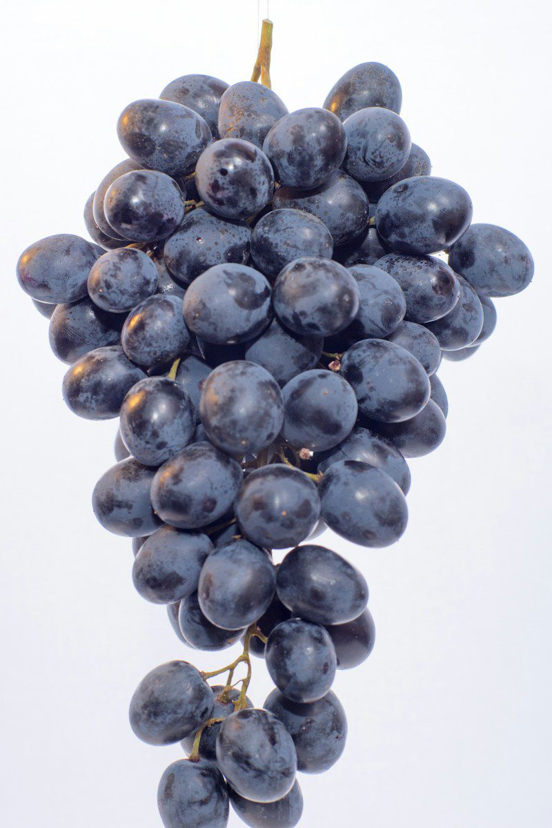How to Grow Grapes: Detailed Guide for Gardeners