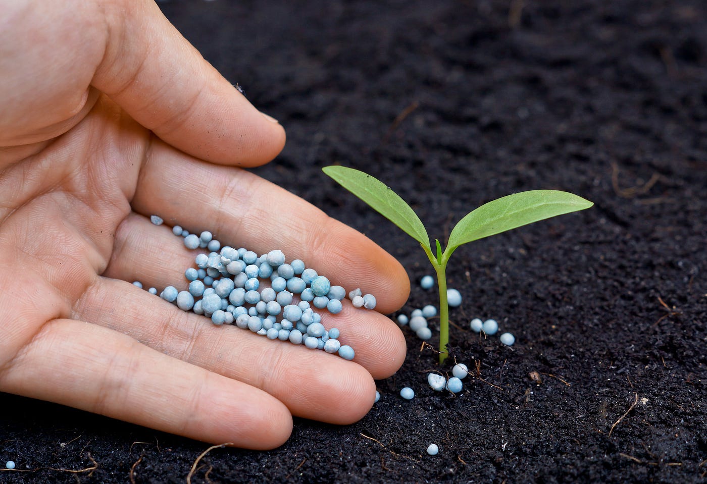 Controlled-Release Fertilizers: Enhancing Efficiency and Sustainability ...