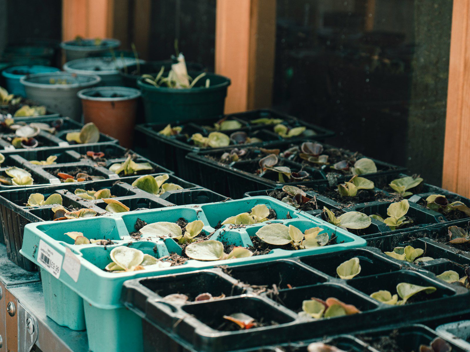 Indoor Composting Guide: How to Start Composting in Your Kitchen