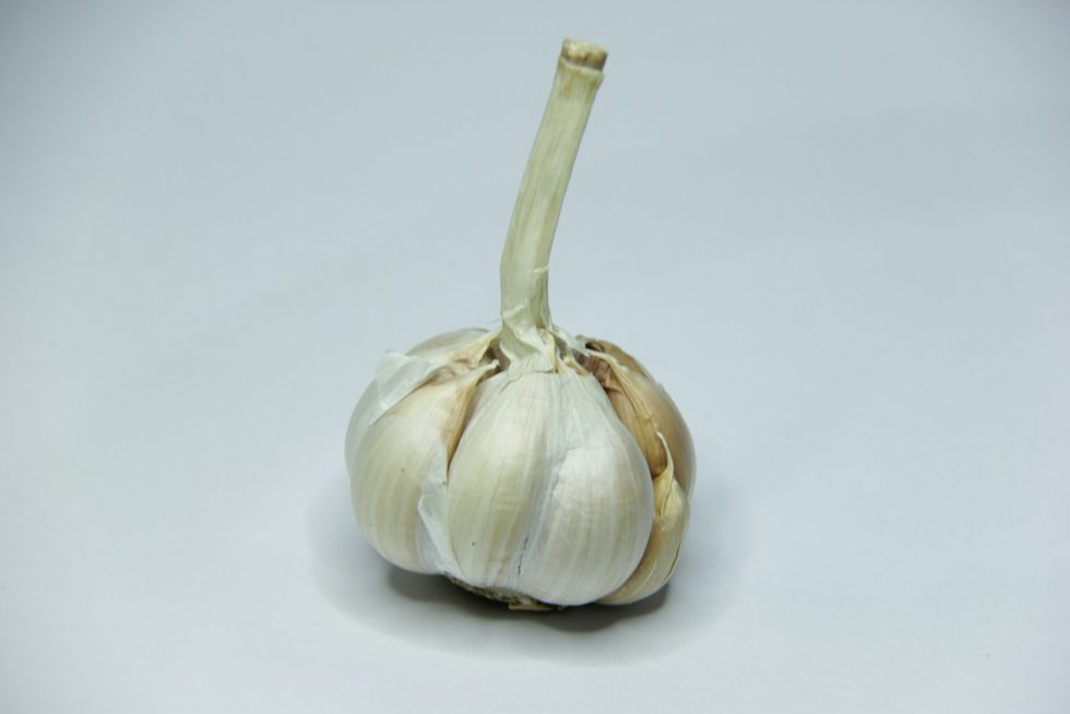 How to Grow Garlic Indoors – Easy Step-by-Step Guide