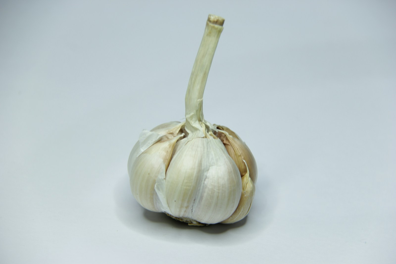 How to Grow Garlic Indoors – Easy Step-by-Step Guide