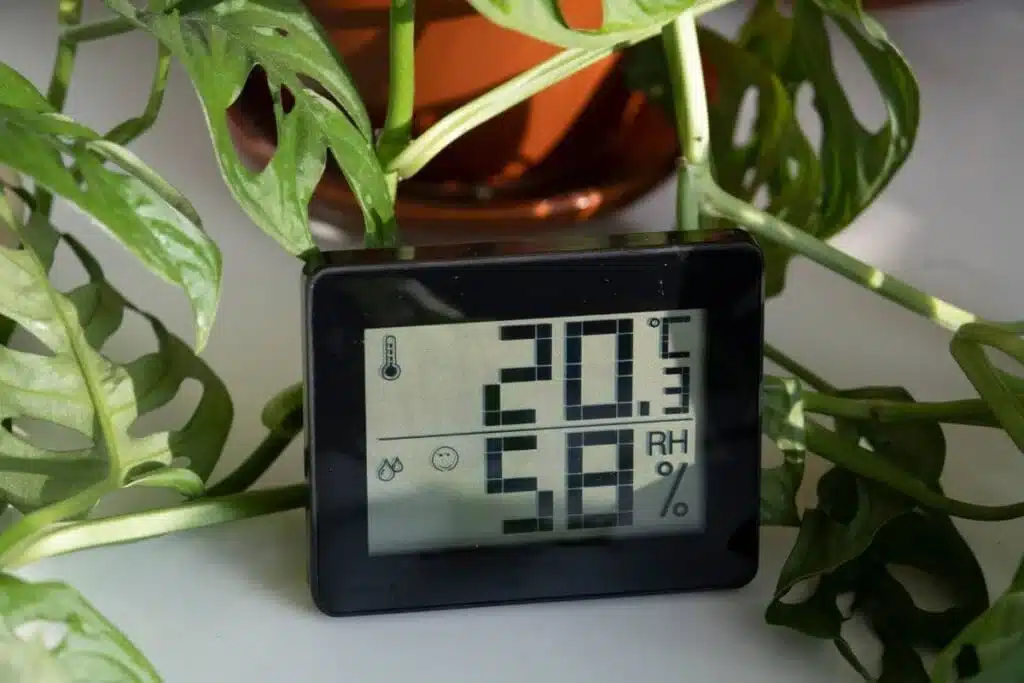 Best Temperature Range for Indoor Plants